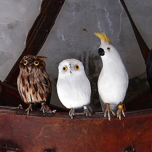 本物の剥製のように美しくリアル – PUEBCO Artificial Birds（プエブコ アーティフィシャルバード） – もらくらし